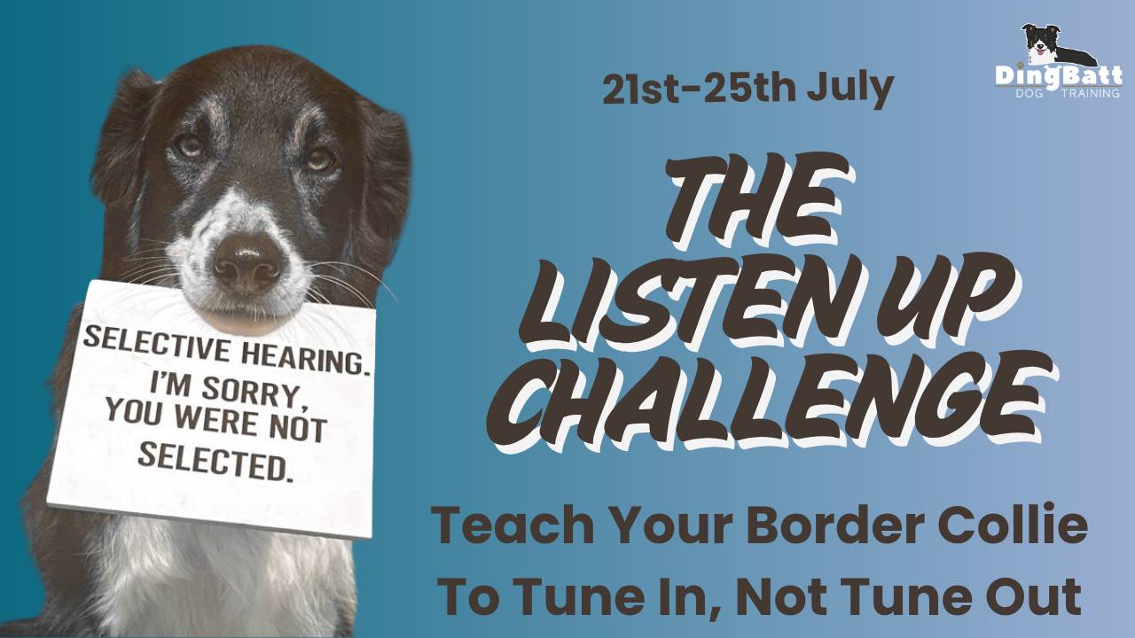 The Listen Up Challenge