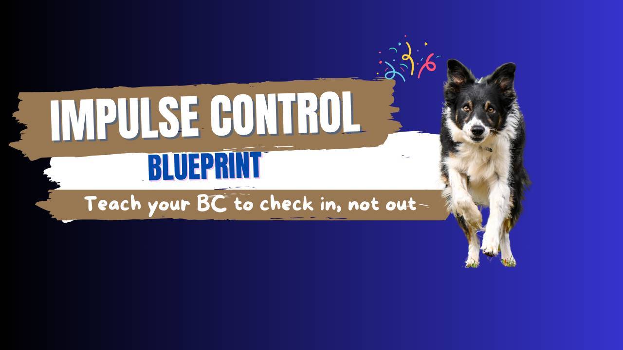 Impulse Control Blueprint VIP Upgrade