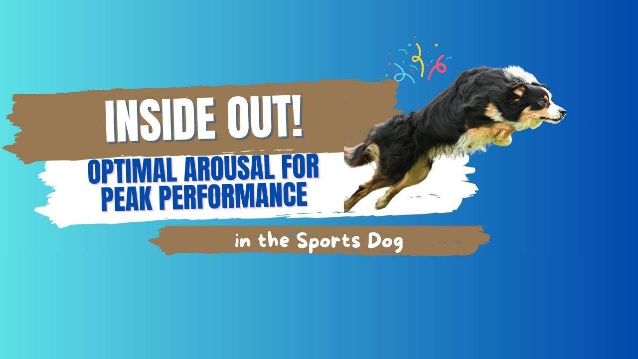 Inside Out: Optimal Arousal for Peak Performance in Sport Dogs
