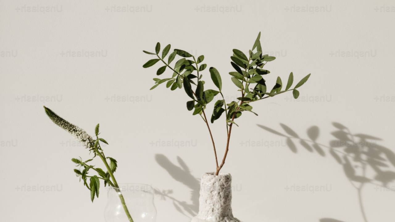 CLW Practitioner Collaborative Team