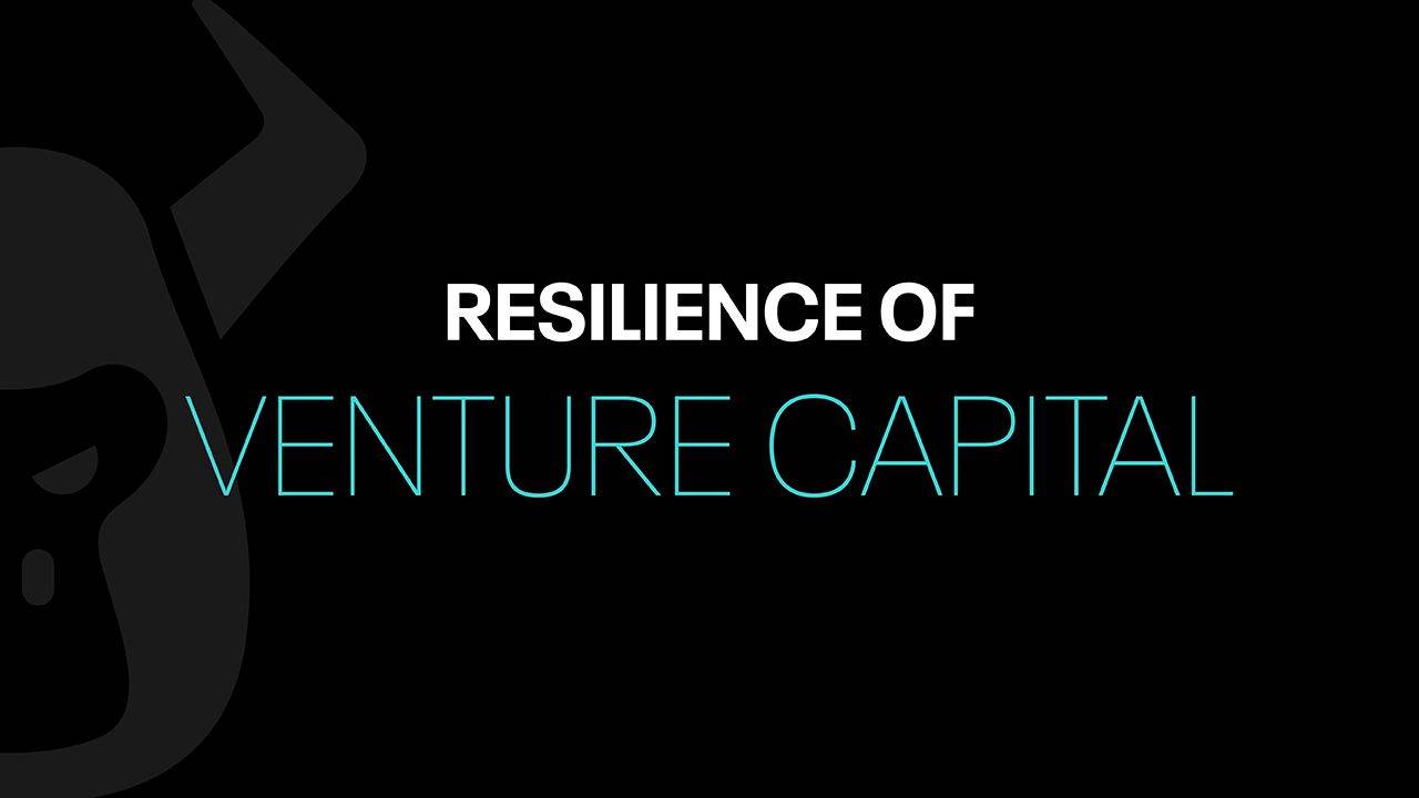 Venture Capital Resilience in the Face of Market Volatility