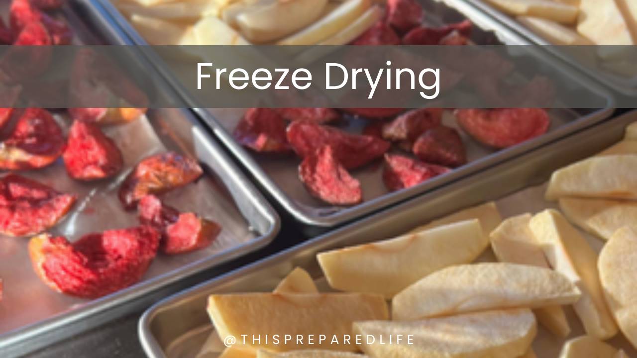 Freeze Drying