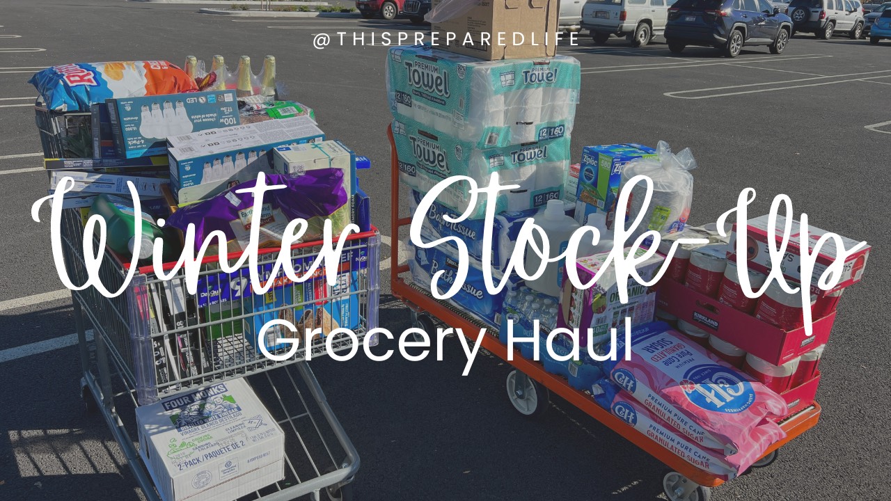 Huge Winter Stock Up Costco Grocery Haul