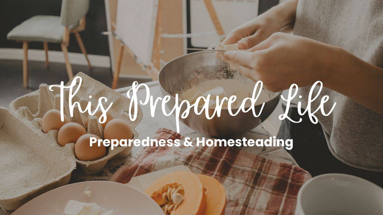 This Prepared Life