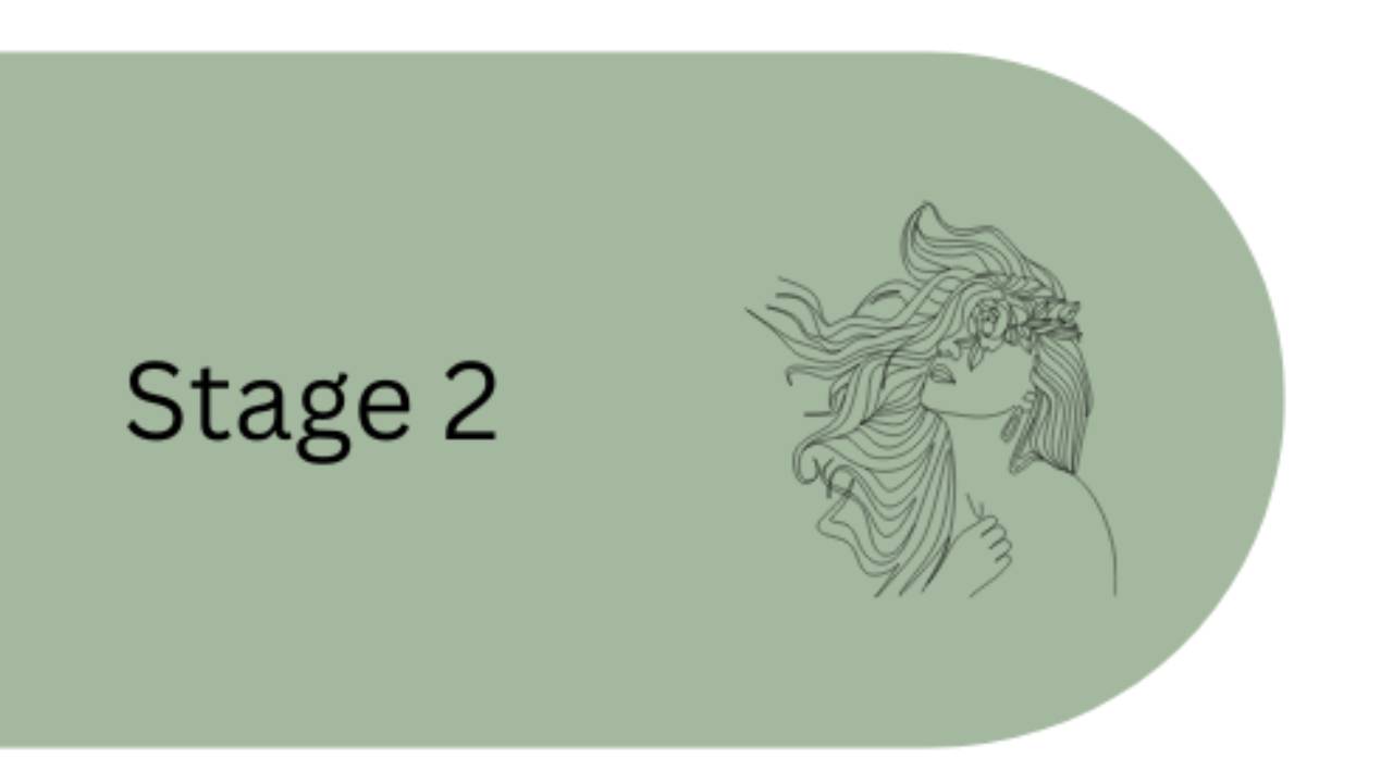 Stage 2