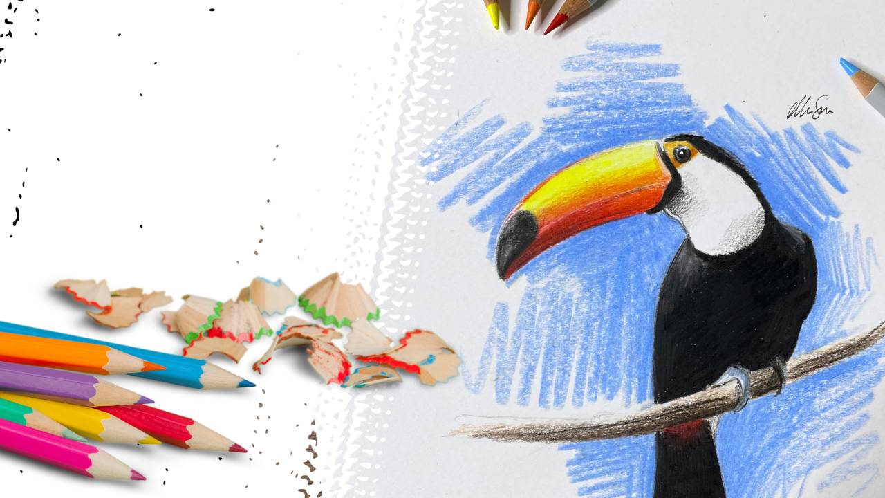 Corso di Matite Colorate