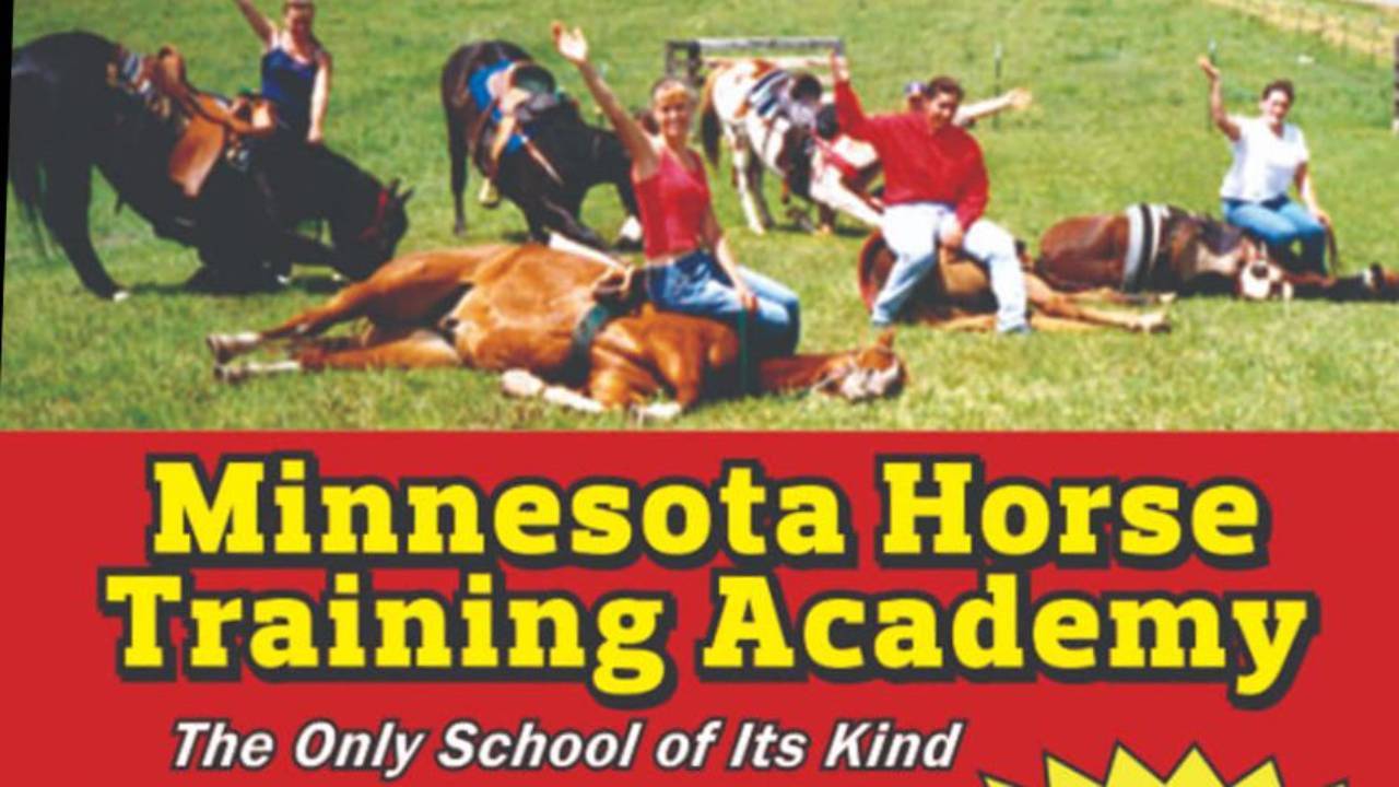 Larry Surrett's Horse Training Academy Online