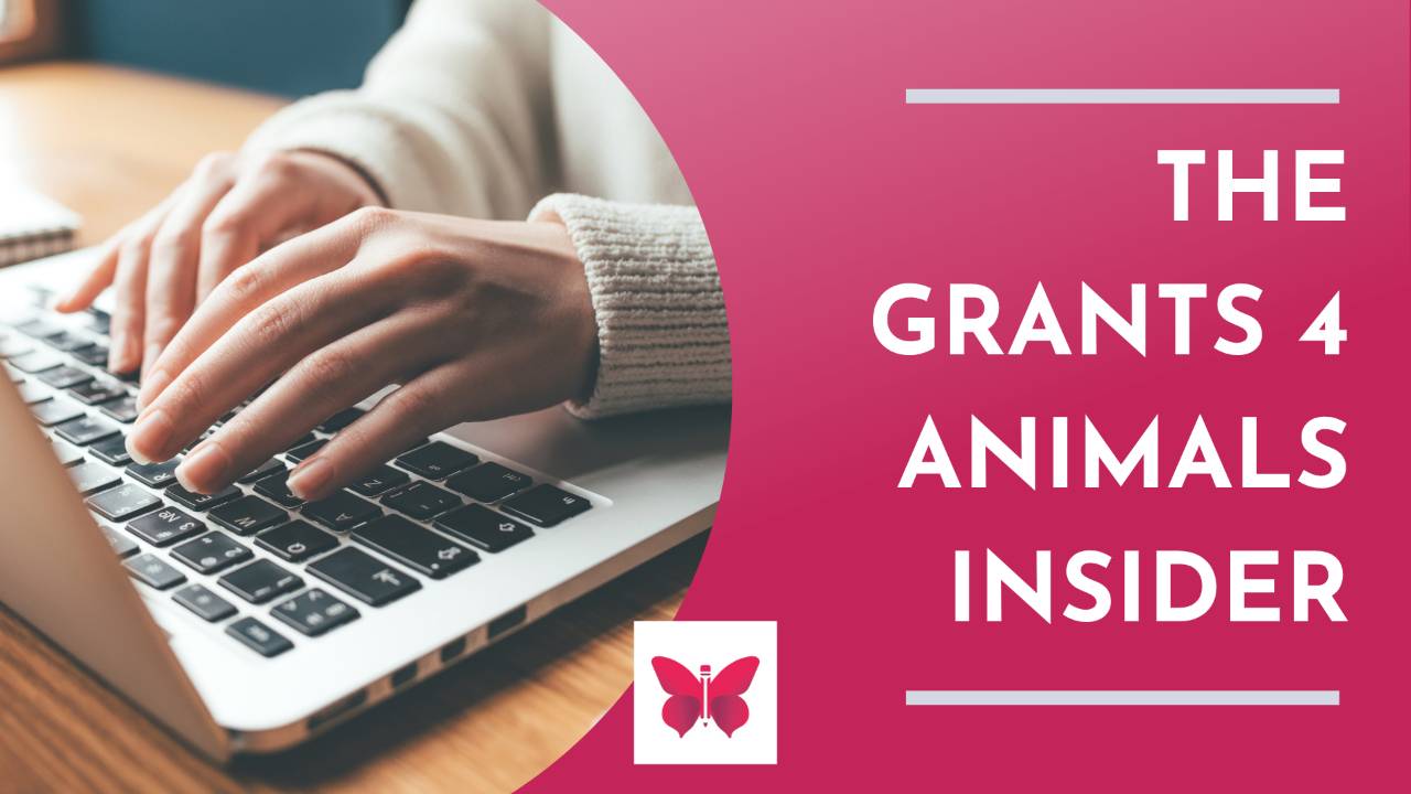 The Grants 4 Animals Insider