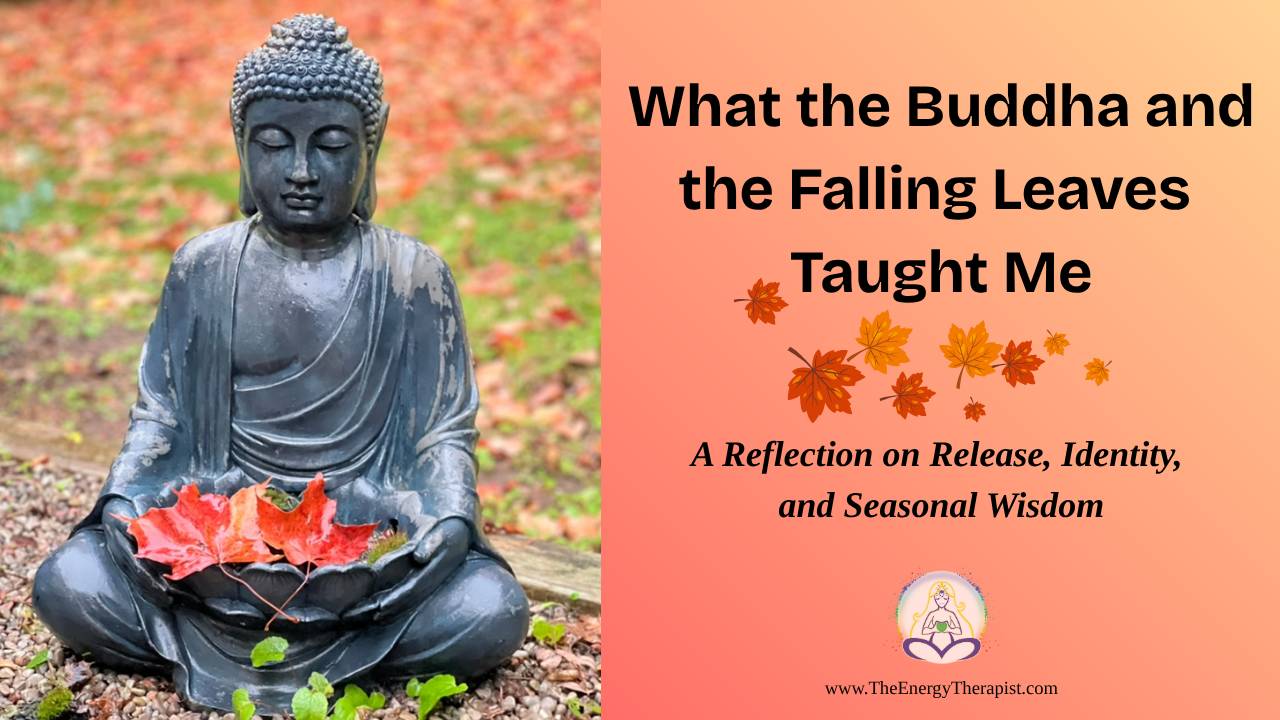 What the Buddha and the Falling Leaves Taught Me 🍁