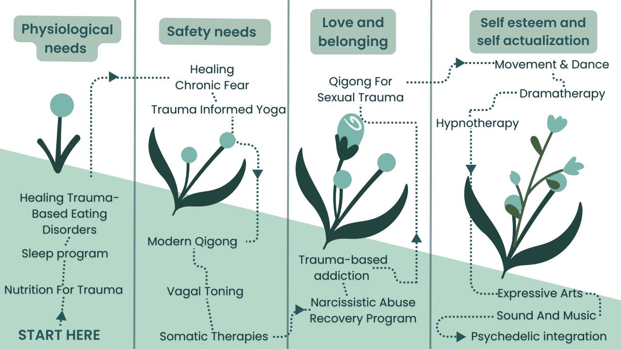 Trauma Healing Roadmap | Rewire Therapy
