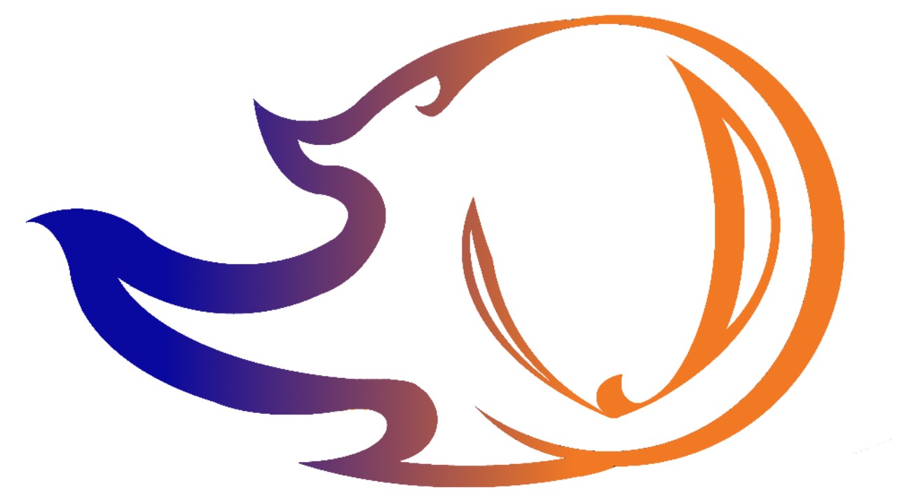 Individual Tutoring with Dave Hall and Velocity