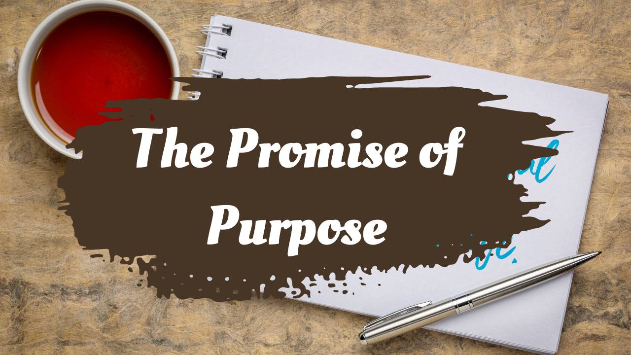 Webinar: The Promise of Purpose