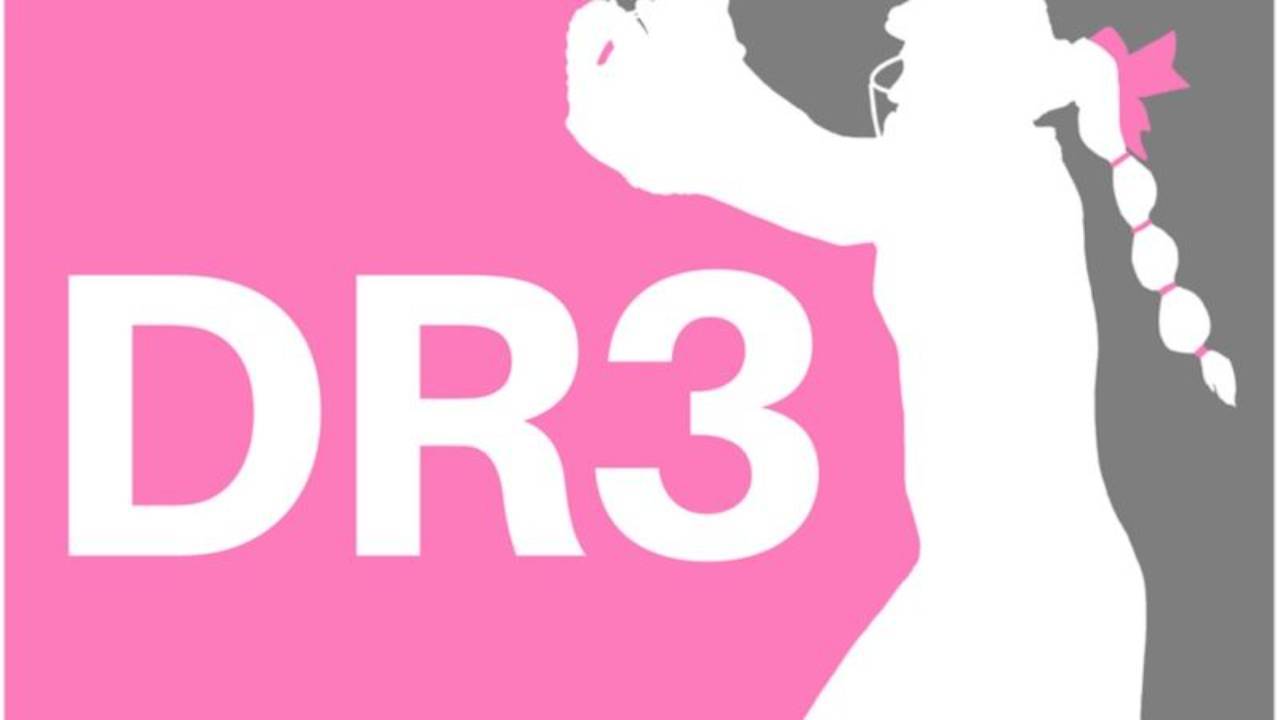 DR3 Fastpitch University | Coach D