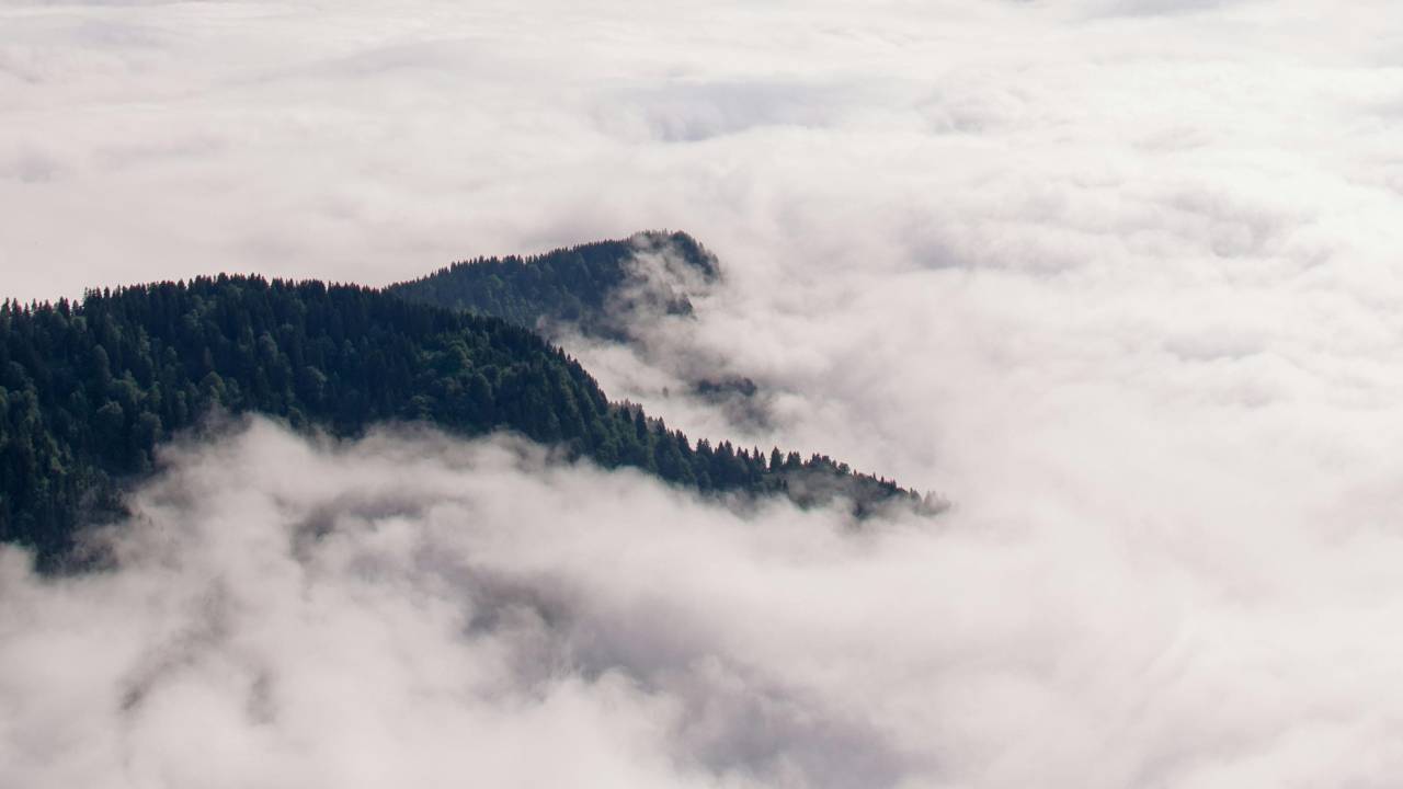 Shame is a Body Response Driven by the Freeze Nervous System State