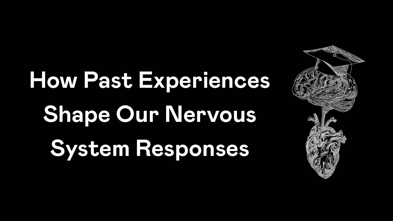 How Past Experiences Shape Our Nervous System Responses