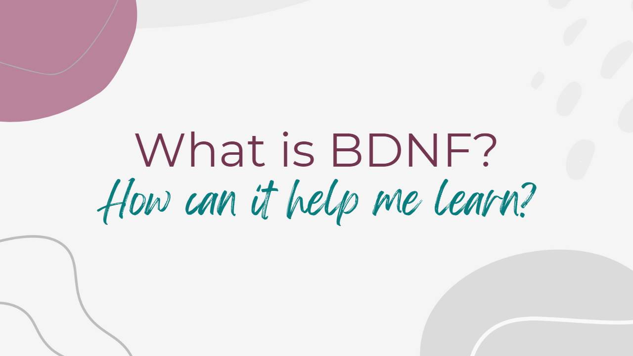 BDNF and learning