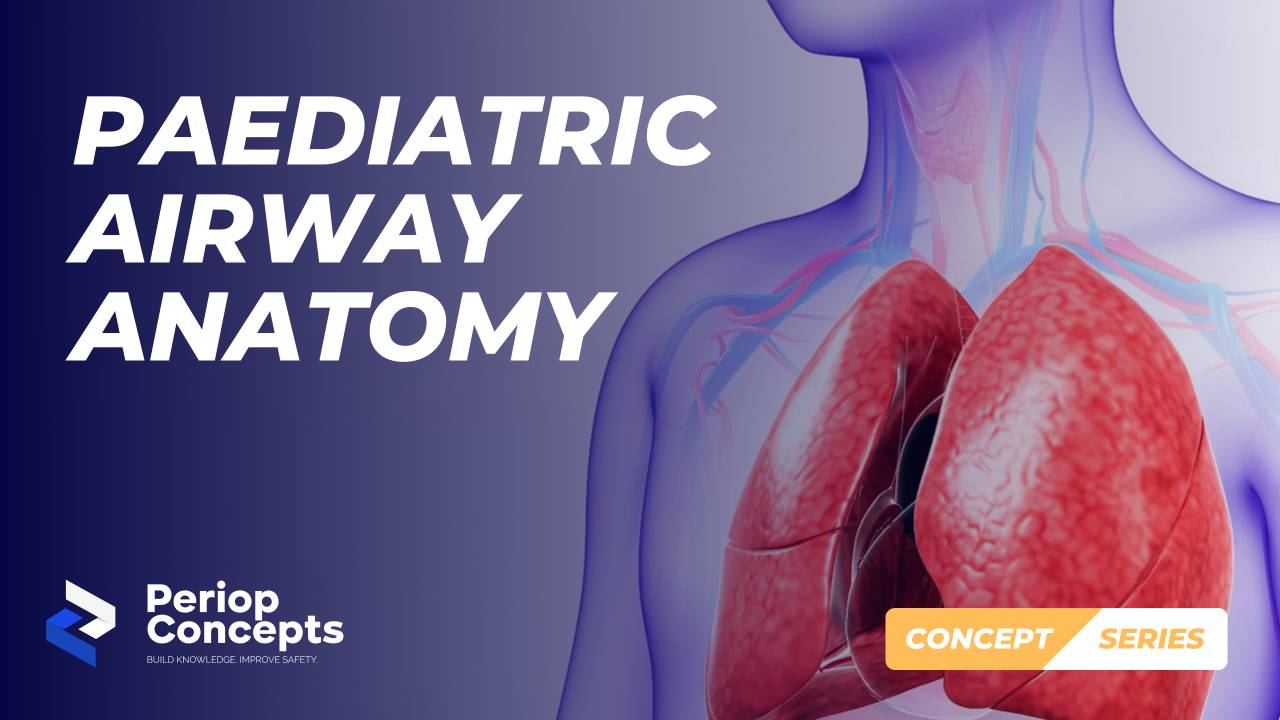Paediatric Airway Anatomy