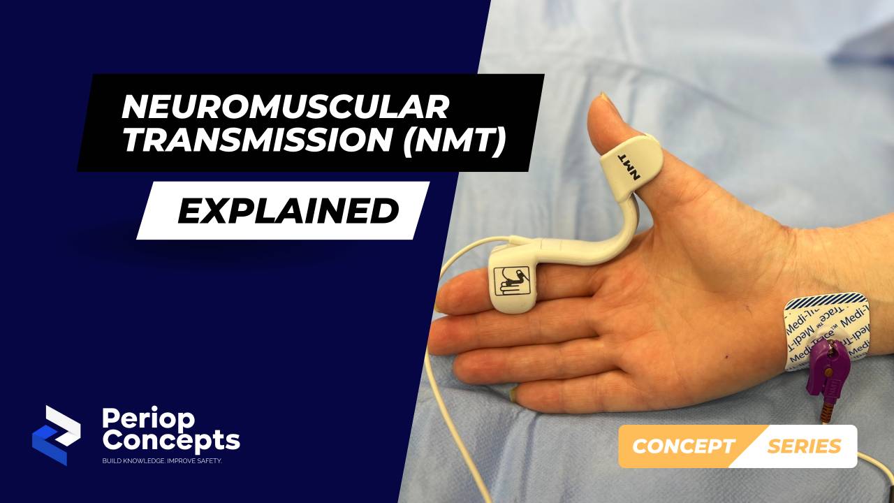 Neuromuscular Transmission (NMT)