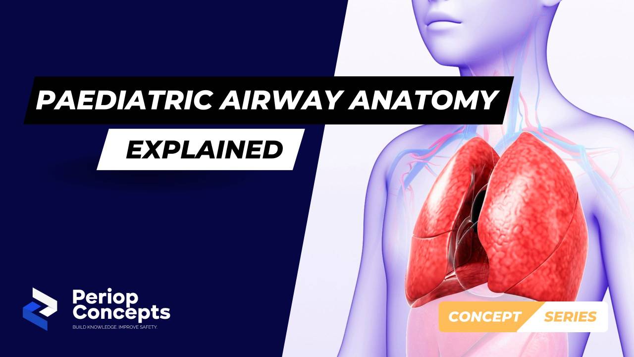 Paediatric Airway Anatomy
