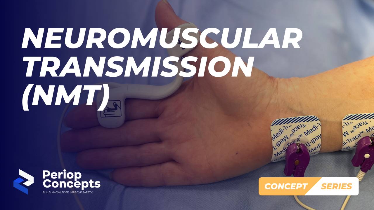 Neuromuscular Transmission (NMT)