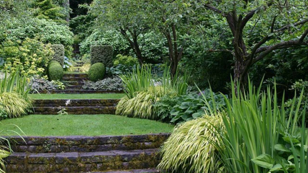 Terraced Gardens: Elevating Your Landscape Design