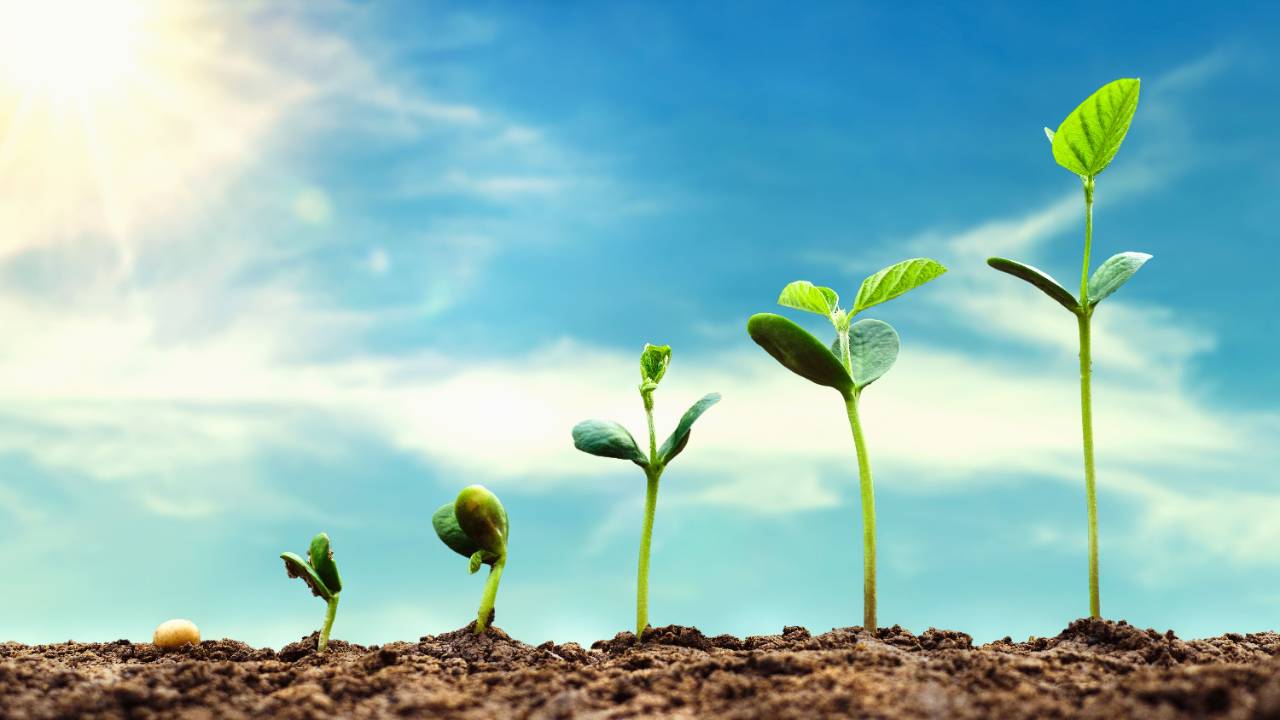 The Growing Pains of Spiritual Growth