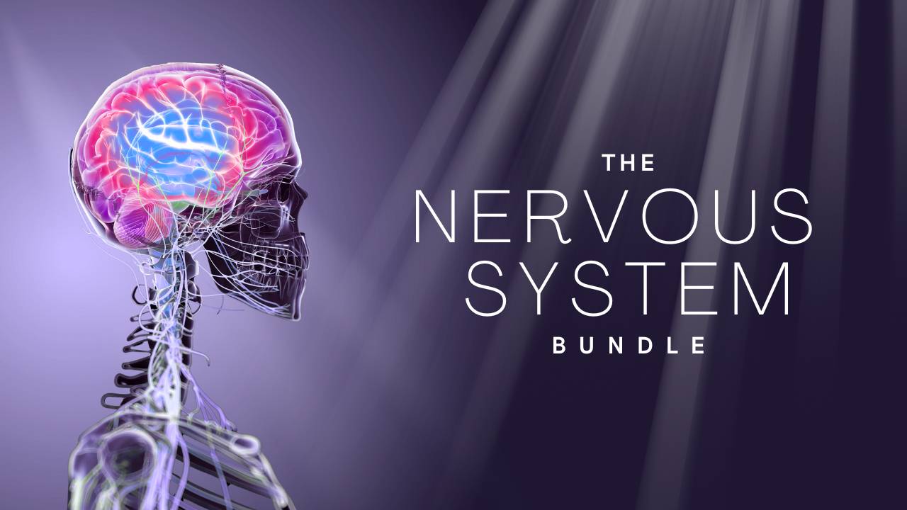 The Nervous System Bundle