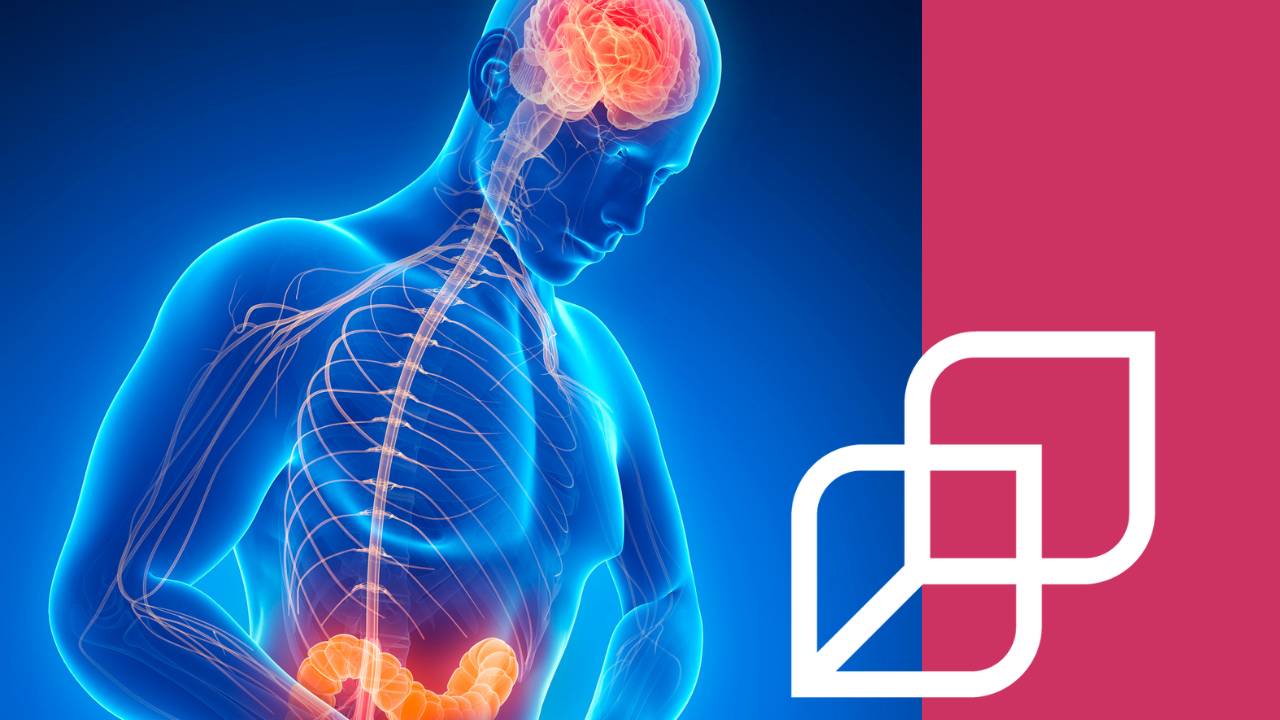 ¿Ya conoces tu segundo cerebro?