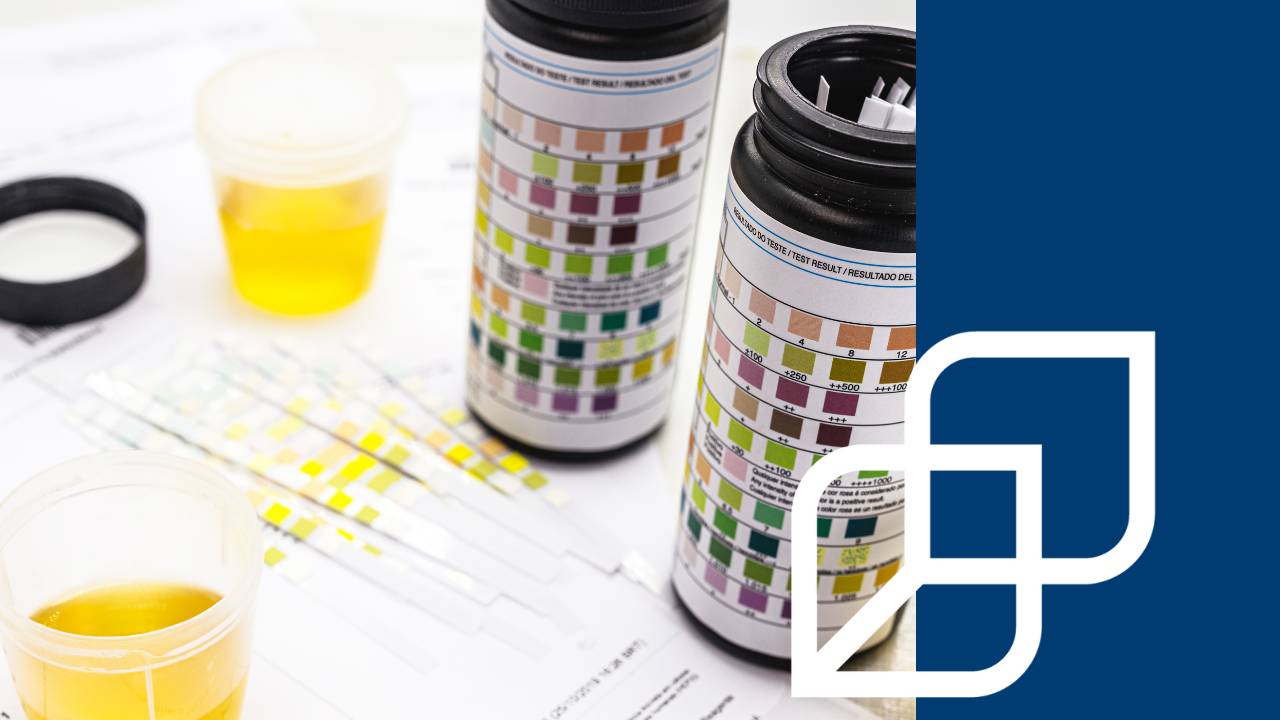 ¿Qué es la cetosis y cómo impulsa nuestra salud?