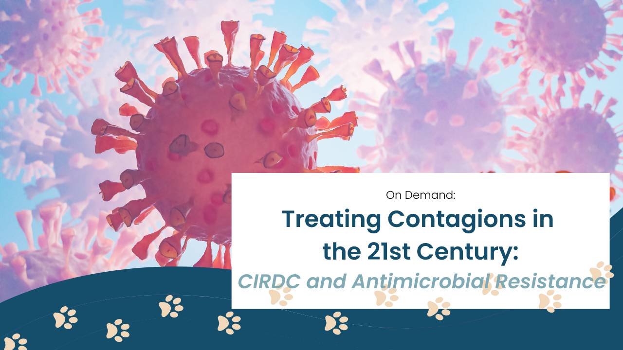 Free Online RACE Approved Veterinary CE