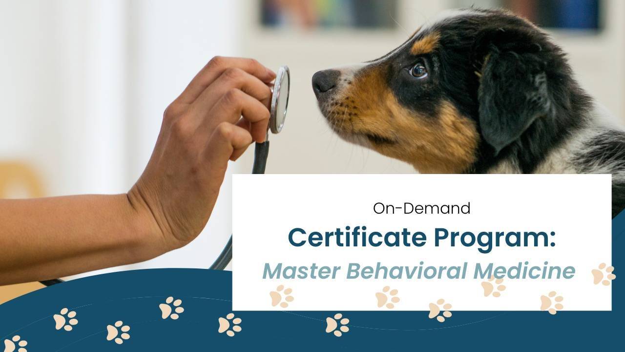 Master Behavior Certificate Course | 15.5 RACE-Approved CE
