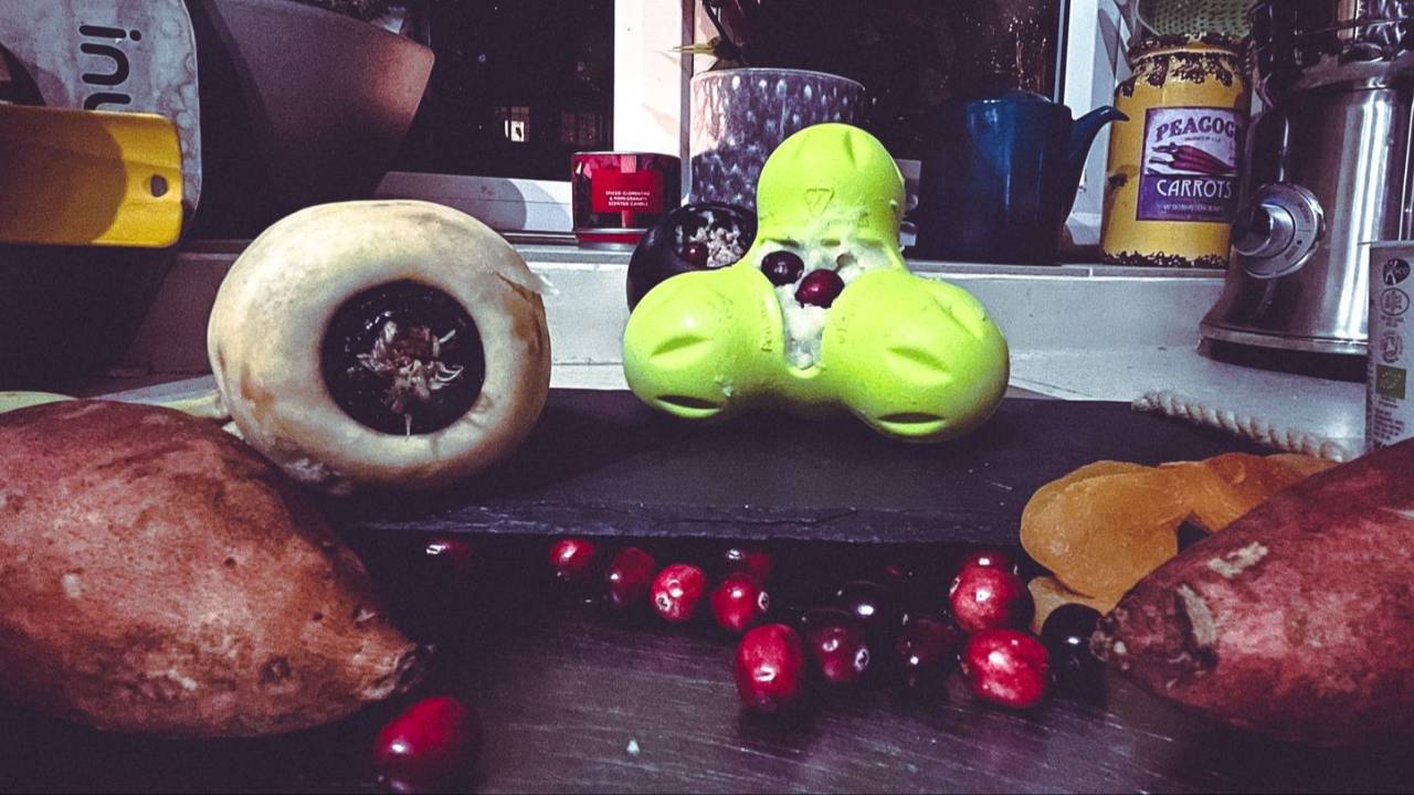 Our Favourite Food Toy Fillings for Dogs