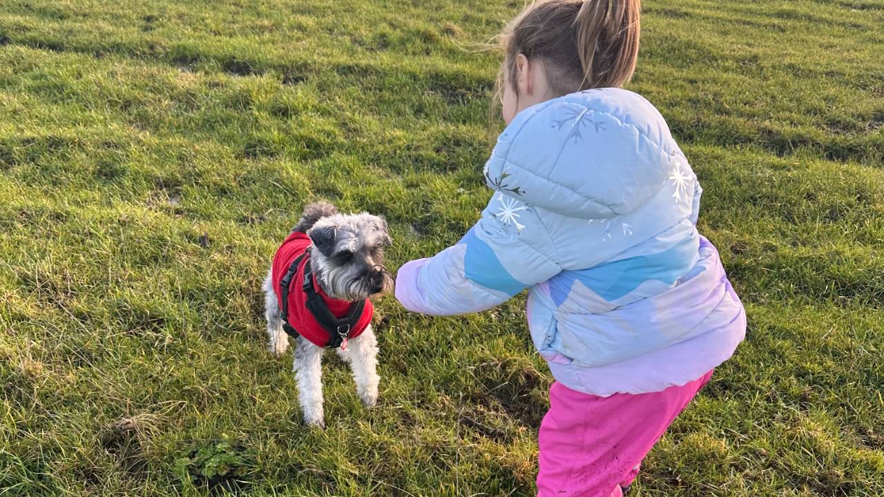 Toddler Grief and Pet Loss: How to Explain When a Dog Dies