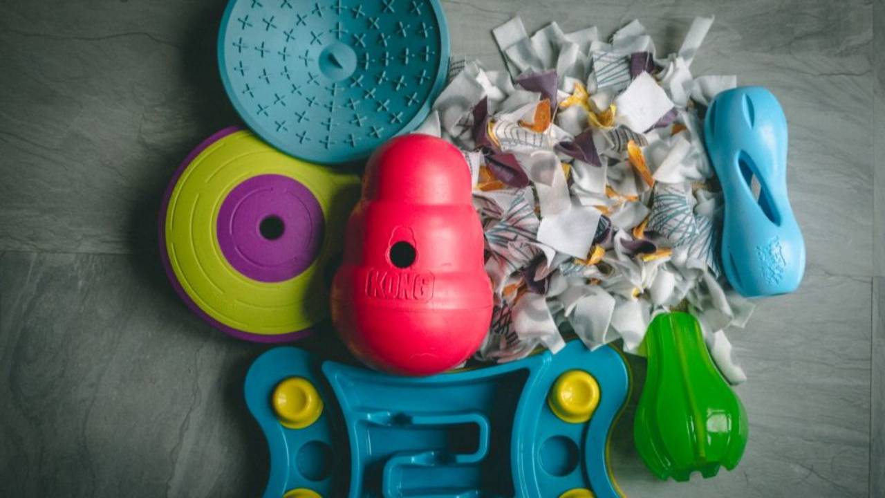 Super, Simple Puzzle Toys for Dogs
