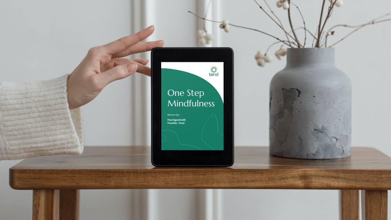 One Step Mindfulness E-Book