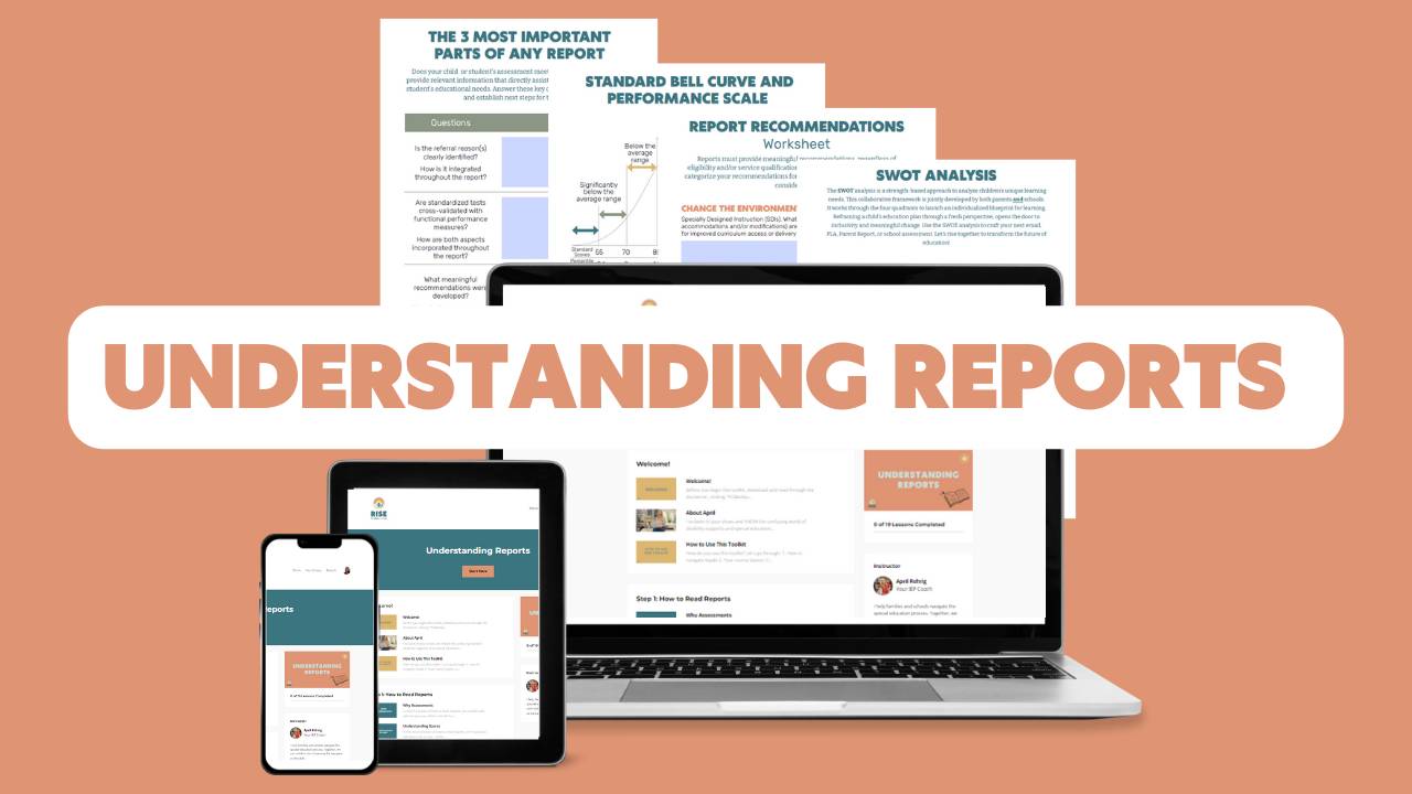Understanding Reports - RISE Educational Advocacy
