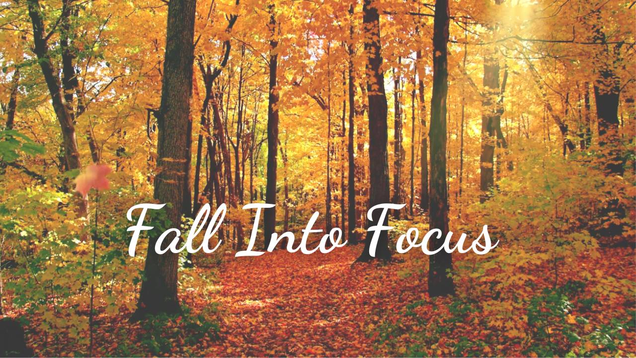 Fall Into Focus