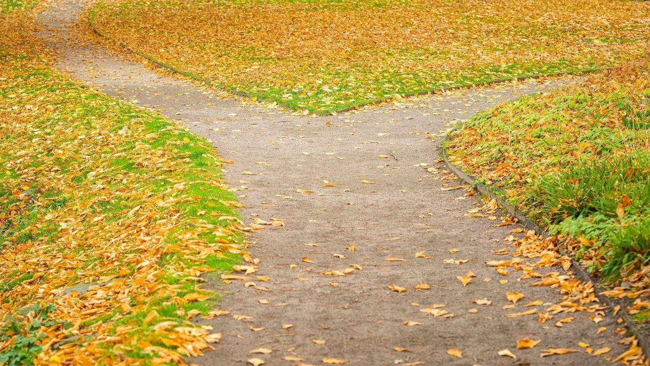 The ABC’s of Choice: The Basics