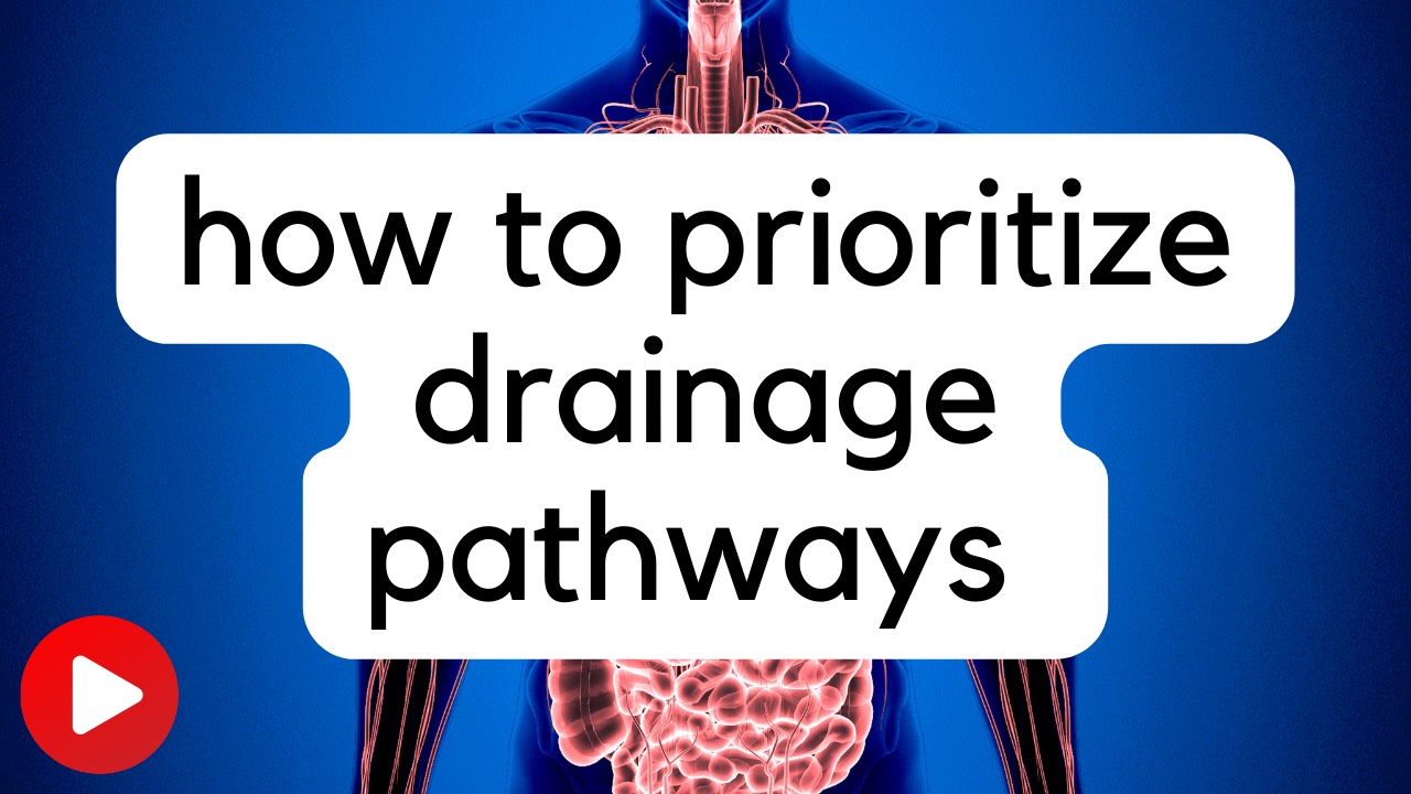 Prioritizing Drainage: Where to Start for Effective Detox