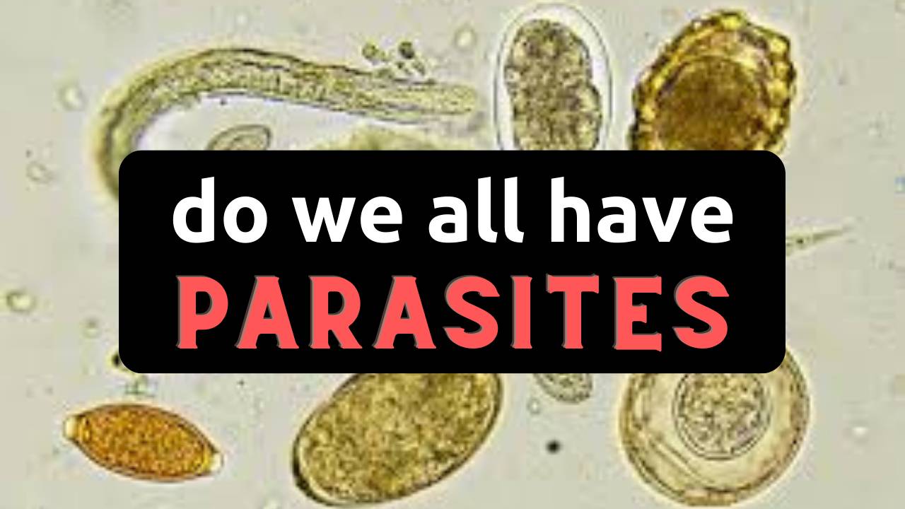 Do You Have Parasites? What to Know & How to Tell