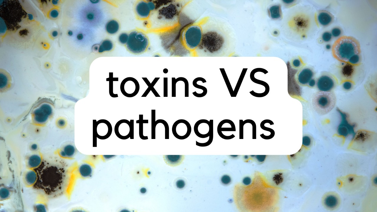 Should You Address the Toxin or Pathogen first?