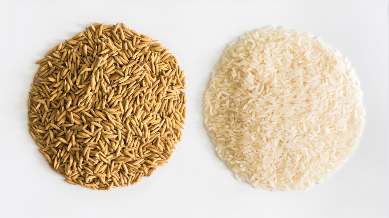Arroz blanco vs arroz integral para la digestión