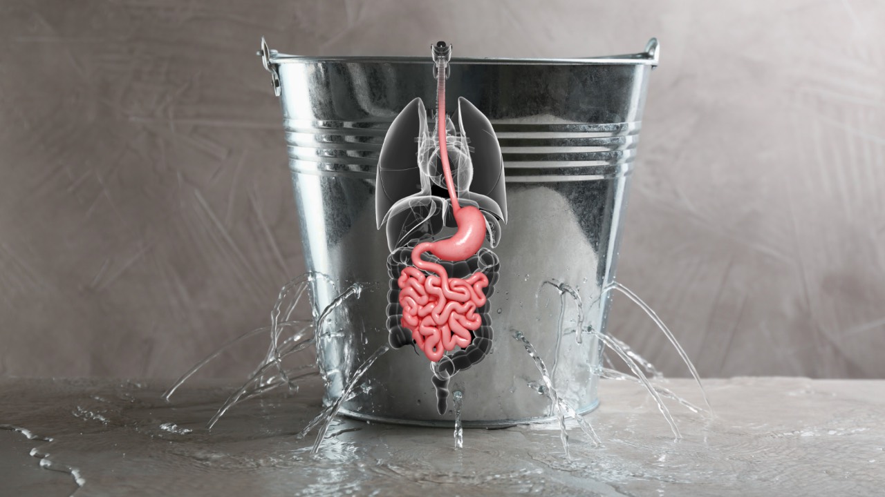 Intestino permeable: causas, síntomas y tratamiento para el leaky gut