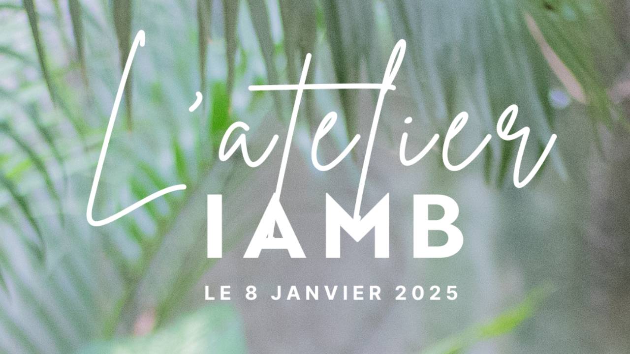 Atelier IAMB
