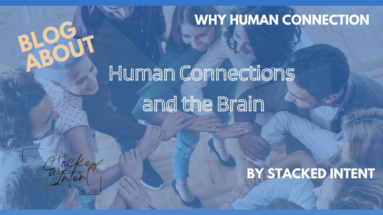 Human Connections and the Brain