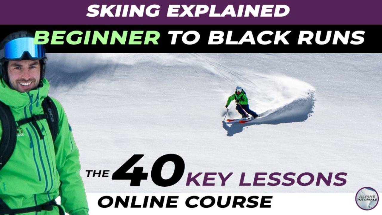Learn to Parallel Ski