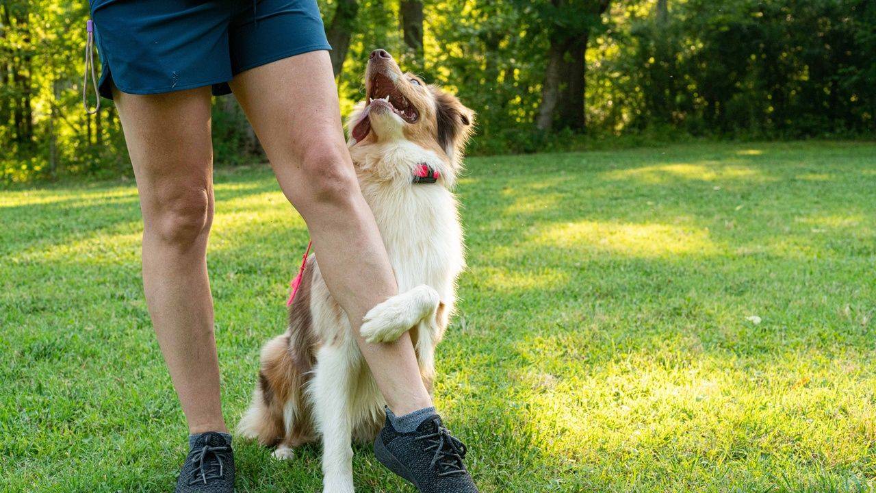 3 Tips to Fight Against Training Frustration