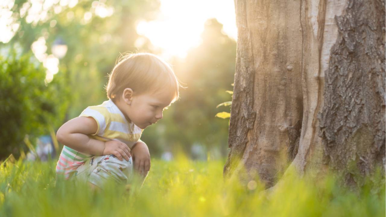 Navigating Sensory Enrichment Through Nature: An In-Depth Exploration