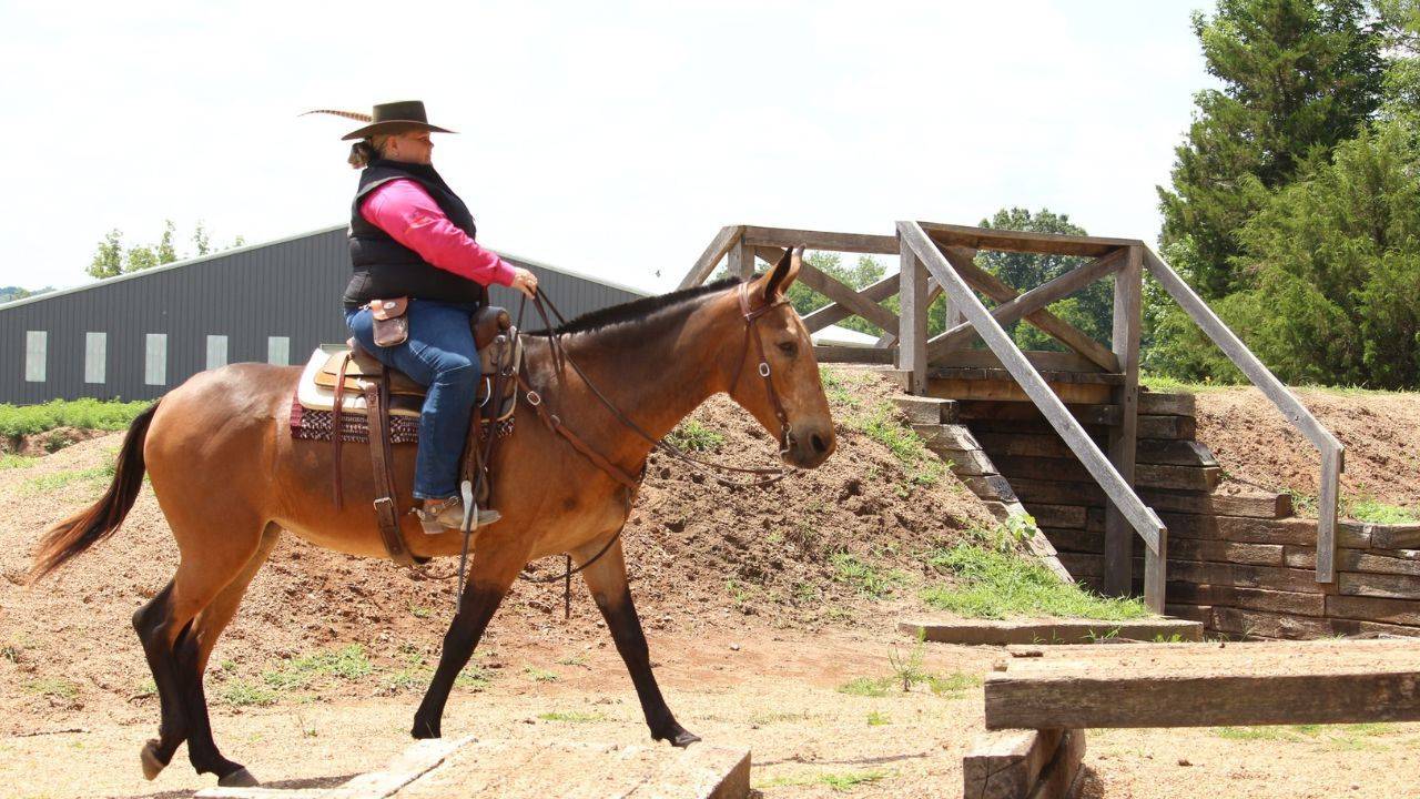 Von Holten Ranch Opens Mountain Trail Course