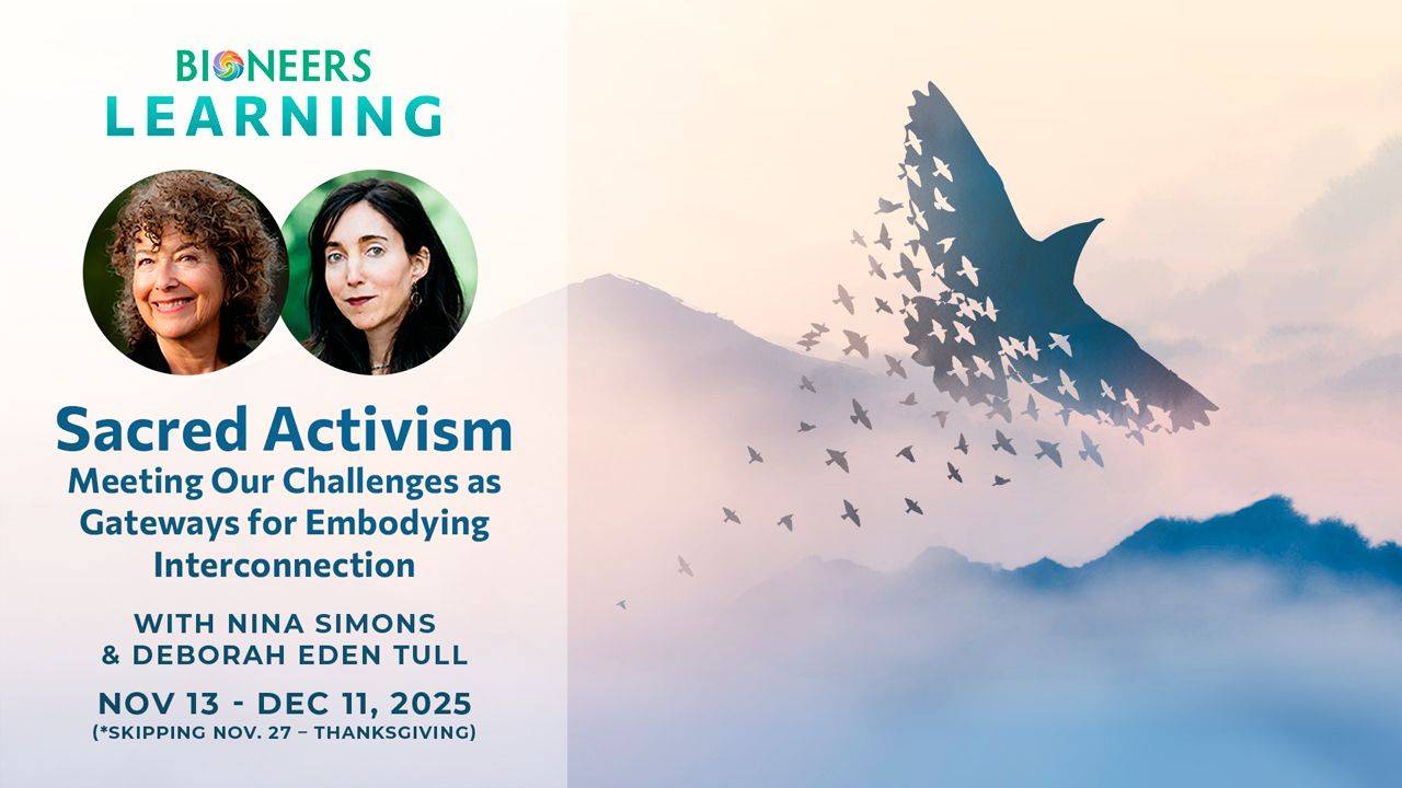 Sacred Activism with Nina Simons and Deborah Eden Tull